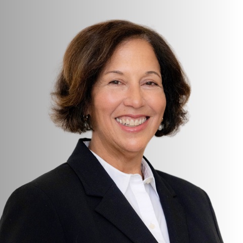 Team – DF Analytics